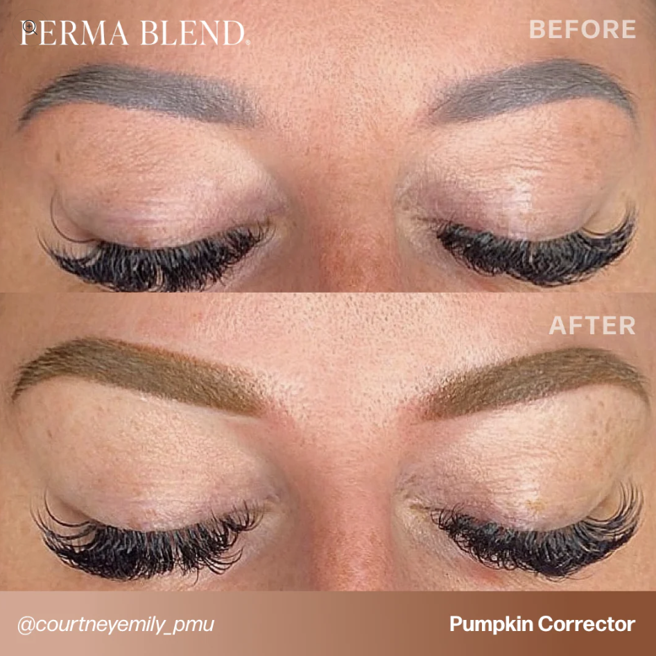Perma Blend - Pumpkin Brow Corrector - Cecilia Cole Academy | Lash ...